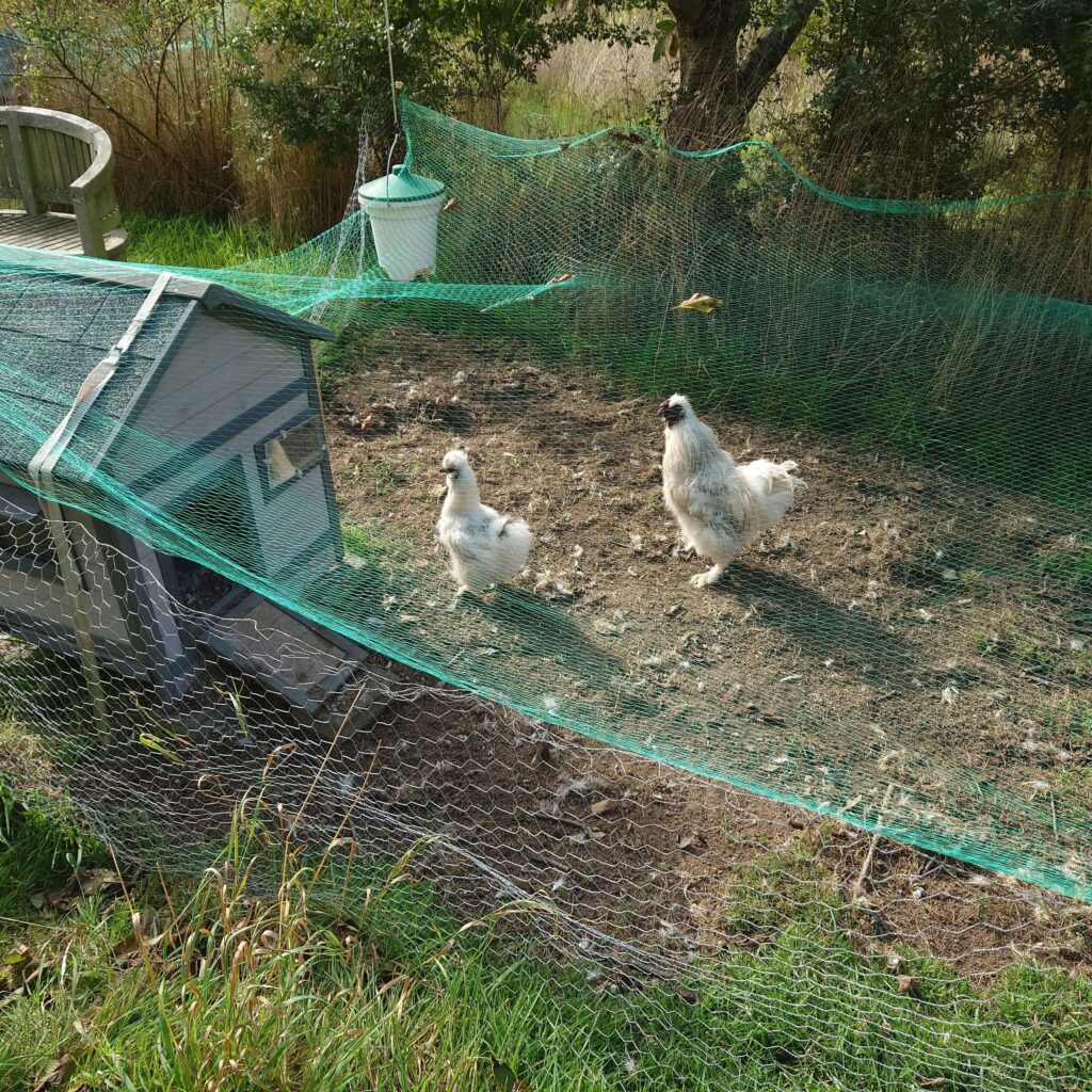 Net over hønsegård | Fuglenet | 2x5, 4x5 eller 8x8 m | Silkehaven