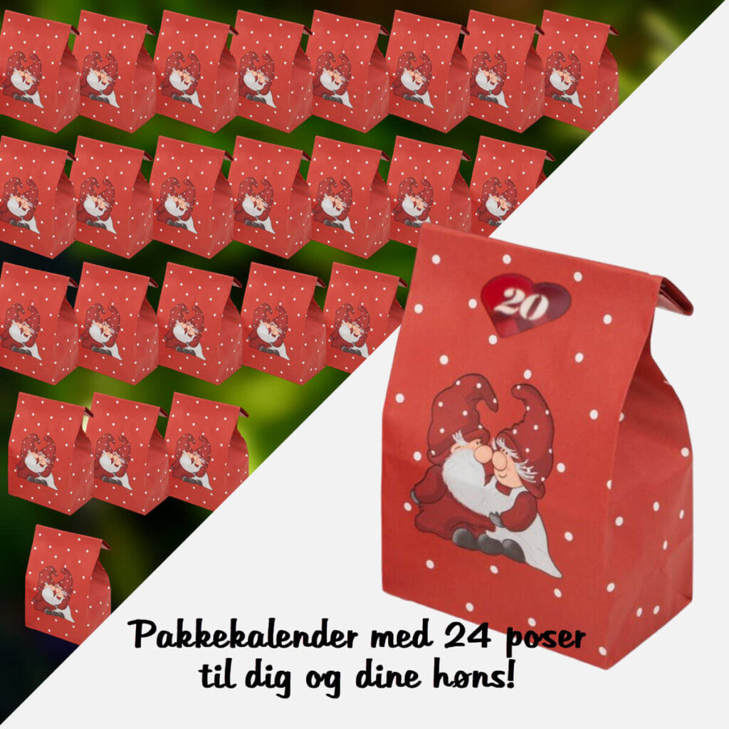 Pakkekalender til høns | Vælg selv indhold | Silkehaven